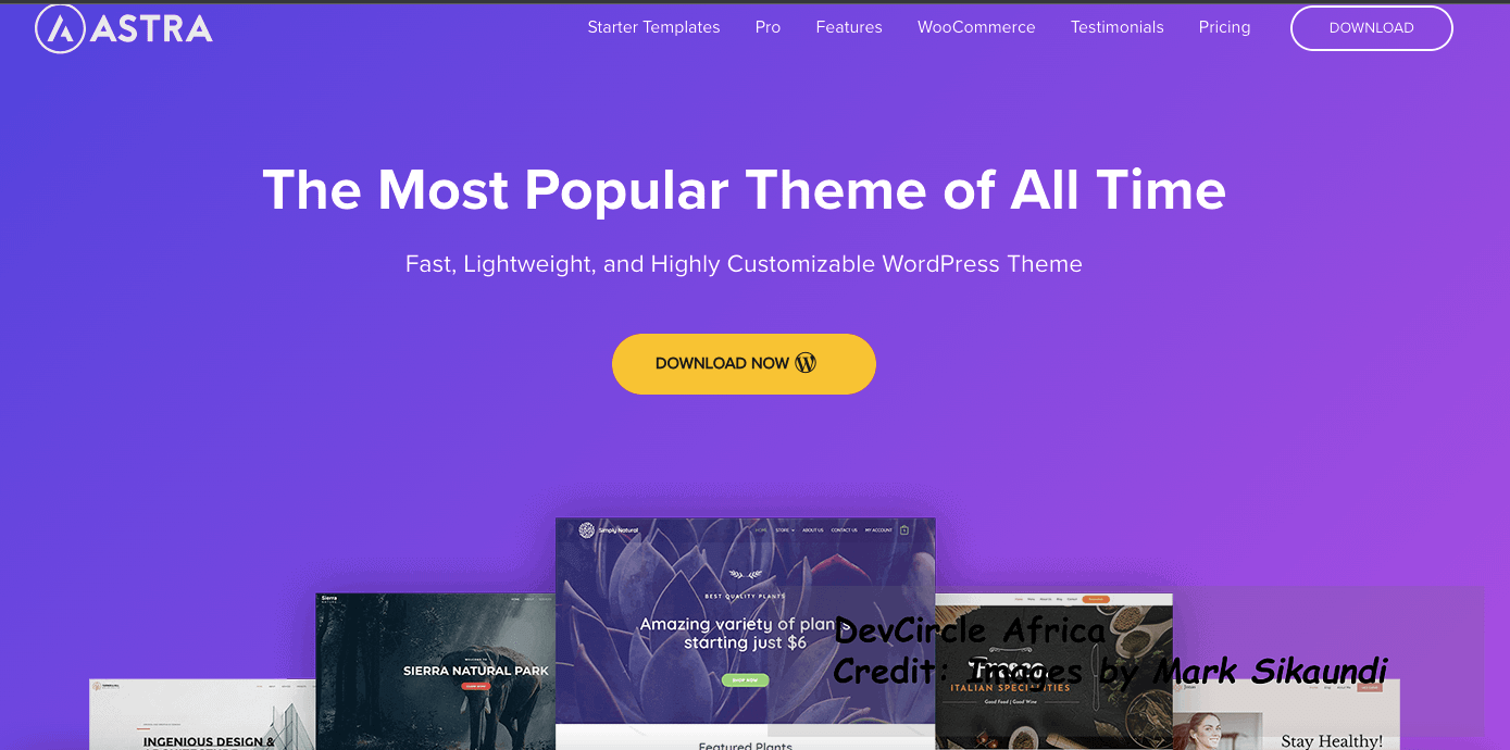 Free Wordpress Themes 2024 - DevCircle Africa